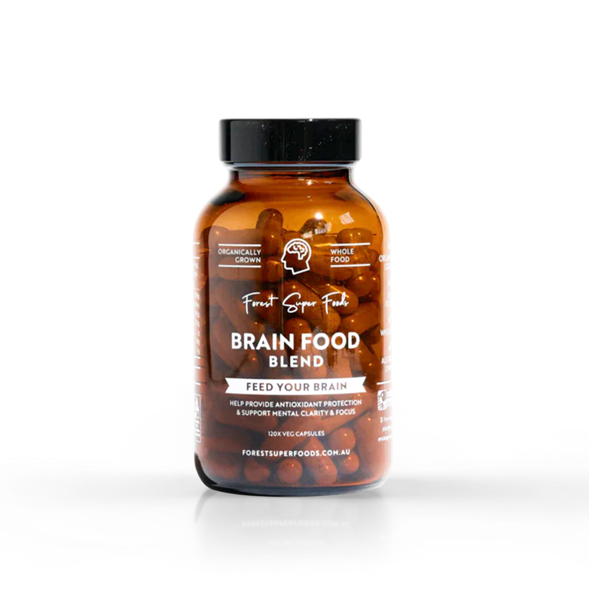 Brain Food – Lion's Mane, Ginkgo & Ginseng Blend | FSF