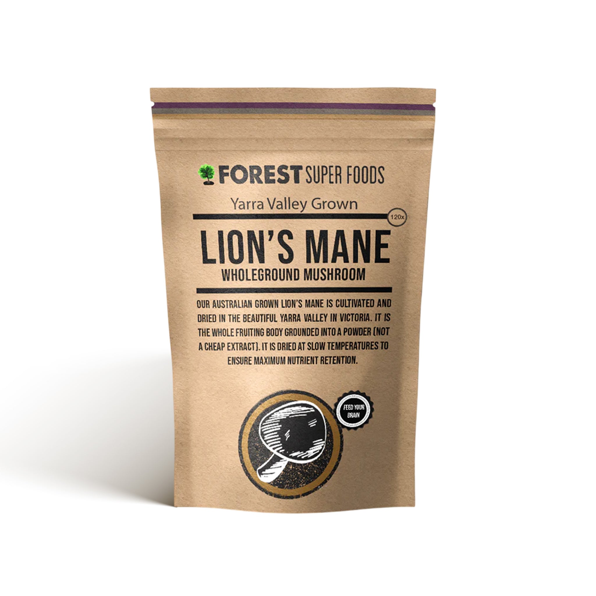100% Lions Mane Mushroom Fruiting Body| Buy Online - Forest Super Foods